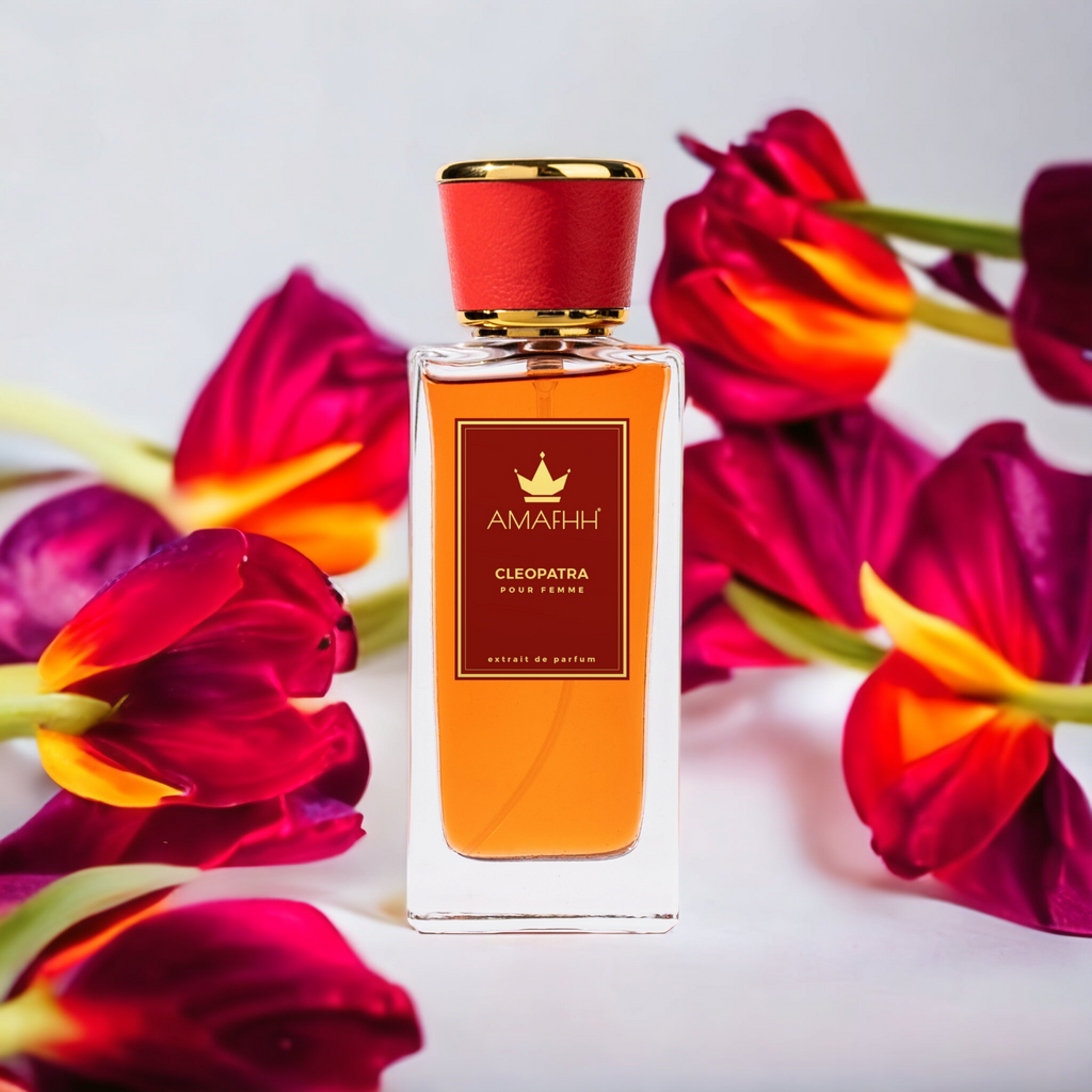 Cleopatra – AMAFHH