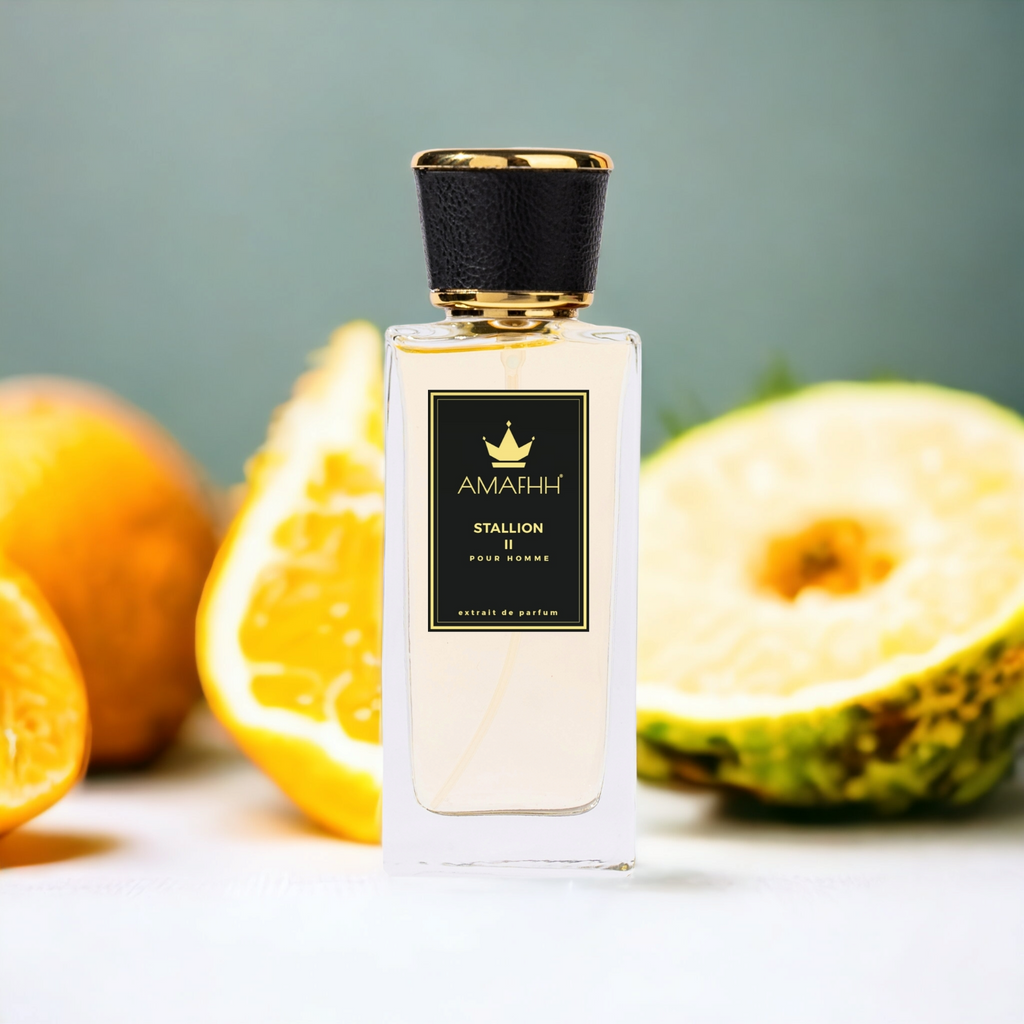 Stallion 2 – AMAFHH